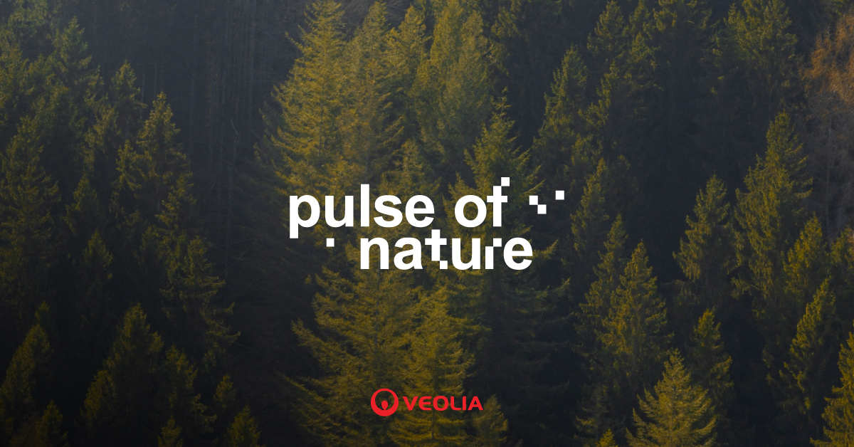 Pulse of Nature